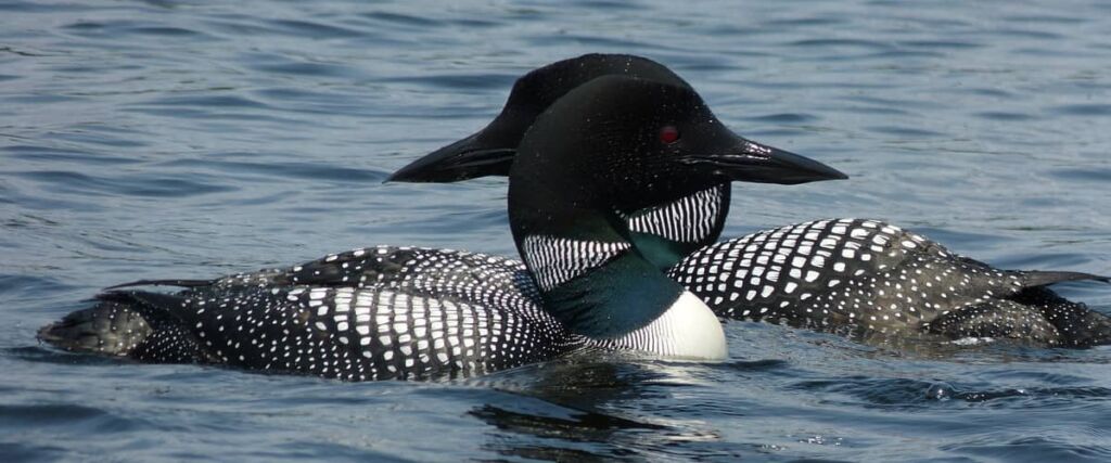 Scenic Drives - Rangeley Lakes Region Chamber of Commerce